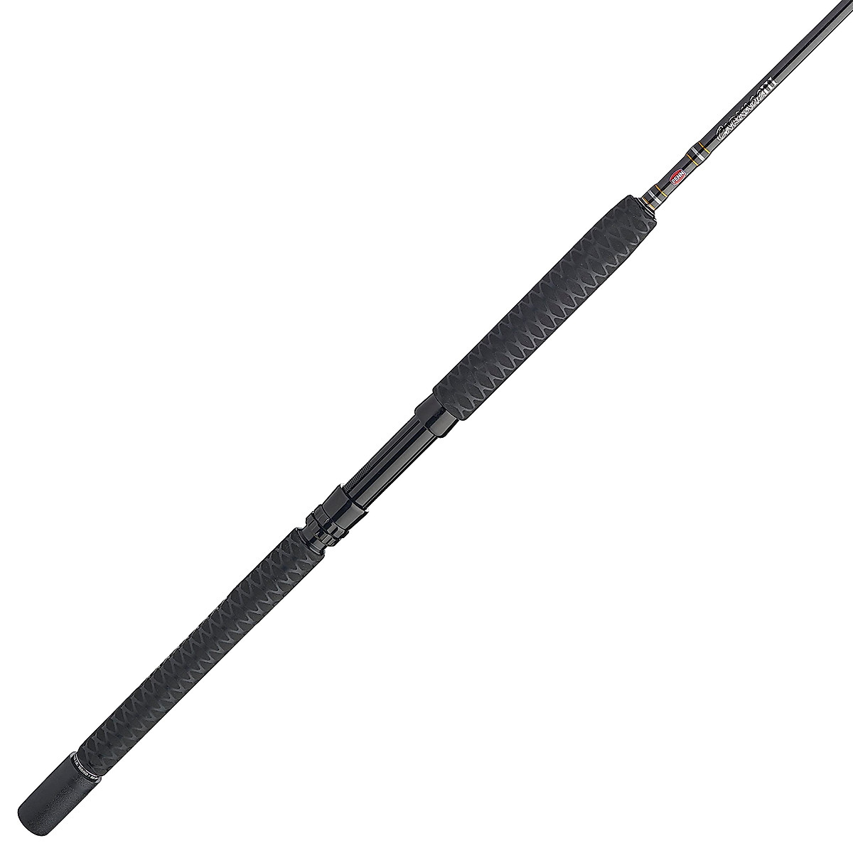 PENN Carnage III Boat Conventional Fishing Rod,Silver/Black/Gold,6'6" - Medium Heavy - 40-80lb - 1pc