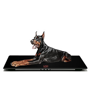 Large Breed Dog Weight Scale, Max Capacity 220 lbs, Surface, Easy Read LCD, Tempered Glass Platform, Includes Comfort Cushion, Ideal for Families and Veterinary Offices, XL(31.5inches)