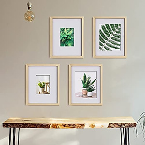 Egofine 11x14 Picture Frames Natural Wood 2 PCS Made of Solid Wood Covered by Plexiglass - for Table Top and Wall Mounting for Pictures 8x10 or 5x7 with Mat Horizontally or Vertically Display Photo Frame