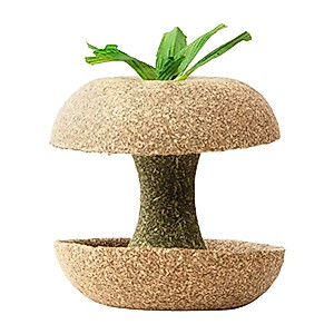 LUOZZY Hamster Chew Toys for Teeth Grinding Chinchilla Teeth Grinding Toys Portable Hamster Treat Chew Toys for Dwarf Hamsters Rat Guinea Pigs