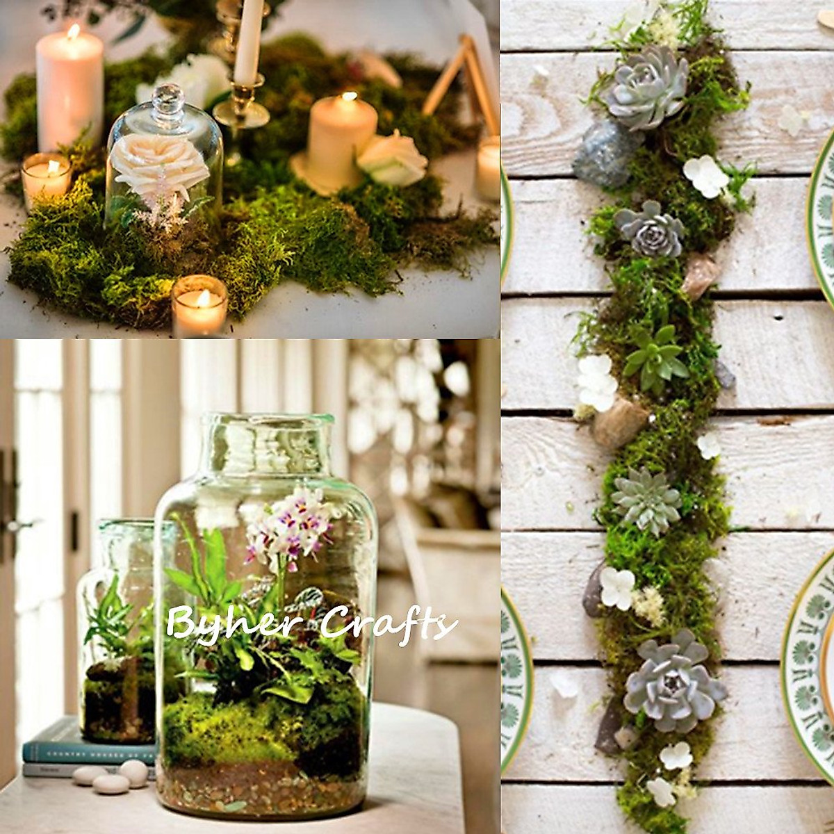 Byher 92926 Preserved Forest Moss, Fresh Green (2OZ)