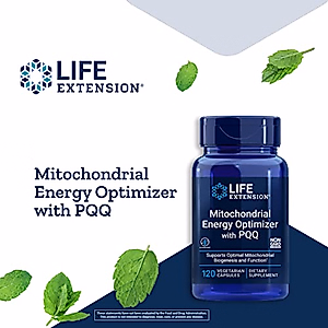 Life Extension Mitochondrial Energy Optimizer with PQQ – For Heart & Brain Health, Energy Management and Anti-Aging - Gluten-Free, Non-GMO, Vegetarian – 120 Capsules