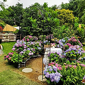 SCENDOR Wedding Arch Garden Arbor Curved Metal Durable Iron Garden Arch Trellis for Climbing Plants Outdoor Ceremony