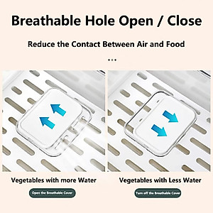 Diskary Fridge Organizer, Stackable Refrigerator Organizer Bins, Reusable Food Storage Containers, Fridge Drawer Organizer in Home Kitchen, Barbecue Shop, Restaurant, BPA-Free (2 Drawers, Large)