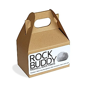 Rock Buddy with Full Training Manual and Bedding