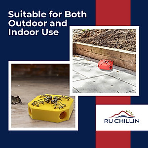 RU CHILLIN Multi Catch Mice Traps | 4-in-1 | Mouse Traps for Home Indoor & Outdoor | Small Rat Traps That Work | Reusable Rodent Traps | Trampas para Ratones | Pet and Child Friendly (Black)