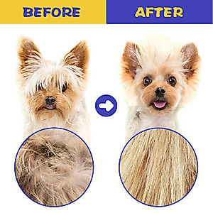 Flea Comb for Cats Dogs, 6 Pack Pet Lice Comb Set Pet Grooming Pets for Small, Medium & Large Pets (Blue)