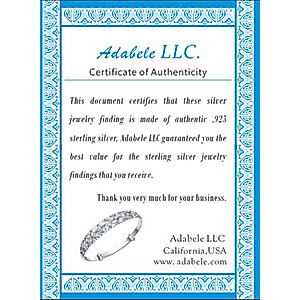 Adabele 2pcs Authentic Solid Sterling Silver Hypoallergenic Jan-Dec Birthstone Bead Charm Swarovski Rhinestone Compatible with Pandora All Bracelet Necklace Women Birthday Gift