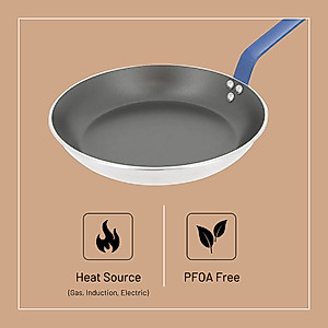 de Buyer CHOC Nonstick Fry Pan - 9.5” - Blue Handle for Fish - 5-Layer PTFE Coating - Warp & Scratch Resistant - Made in France
