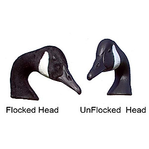 Canada Goose Head Decoy Flocking Kit - 50 Heads