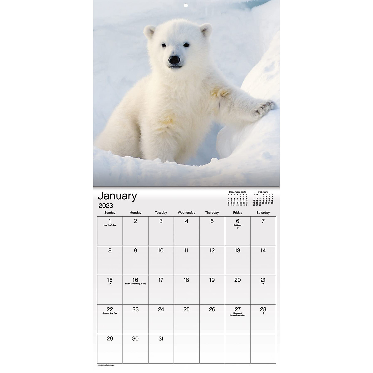 2023 Animal Babies Mini Wall Calendar