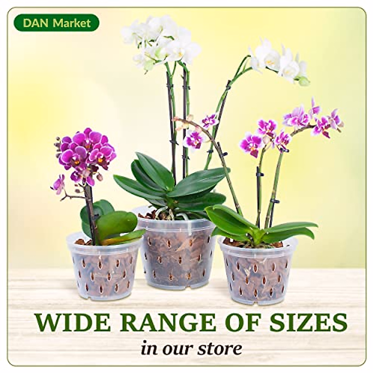 DAN Market 4.5 inch Orchid Pots with Holes - Orchid Pots for Repotting - Orchid Breathable Slotted Clear Plastic Pot (4.5 inch 4 Pack)