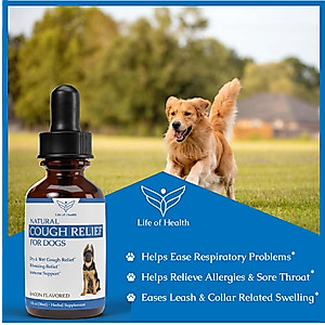 Natural Kennel Cough Treatment for Dogs - Supports Healthy Cough Relief for Dogs of All Breeds & Sizes - Dog Cough Suppressant - Dog Cough Relief - Dog Allergy Relief - Dog Itch Relief - 1 fl oz