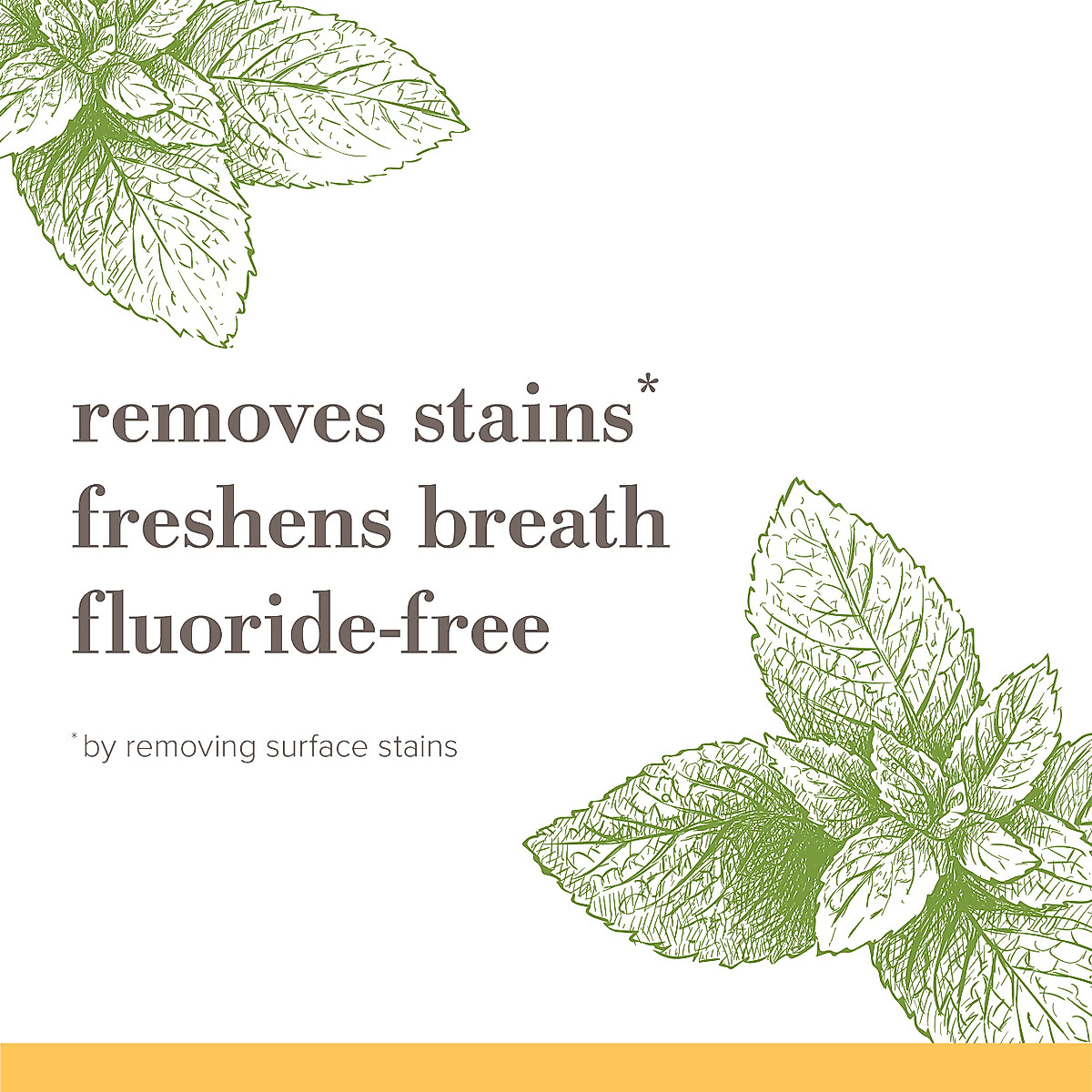 Burt's Bees Toothpaste, Natural Flavor, Fluoride Free Purely White, Zen Peppermint, 4.7oz 3 Count