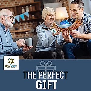 Kosher Kudu Shofar Horn from Israel – Traditional Half-Polished Yemeni Shofar Includes Carrying Bag, Brush and Blowing Guide - Holy Voice Easy Blowing Ancient Musical Instrument (24"-28")