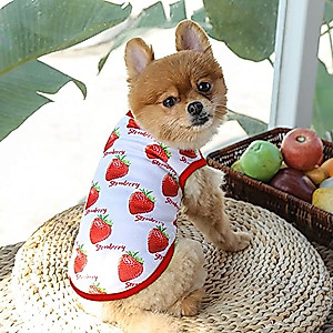 HonpraD Pet Clothes for Dogs Girl Dog Shirt Puppy Cat T Shirts Tops Soft Breathable Dog Sleeveless Vest Outfits Spring Summer Cotton Tee Shirts Pet Clothing