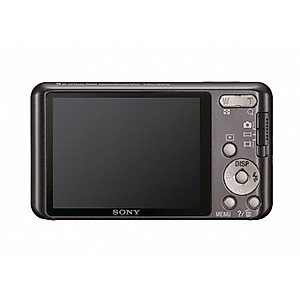Sony Cyber-Shot DSC-W570 16.1 MP Digital Still Camera with Carl Zeiss Vario-Tessar 5x Wide-Angle Optical Zoom Lens and 2.7-inch LCD (Silver) (OLD MODEL)