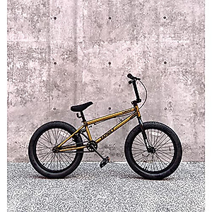 cubsala 20 Inch Kids Bike Freestyle BMX Bicycles for 6 7 8 9 10 11 12 13 14 Years Old Boys and Beginner Riders with pegs, Gold