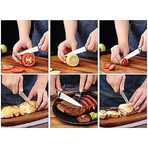 WELLSTAR Utility Knife, 4 Inch Serrated Paring Knife with Super Sharp High Carbon Stainless Steel Blade for Fruit Vegetable Cutting Peeling Slicing – Silver