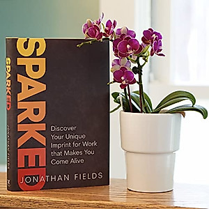 Sparked: Discover Your Unique Imprint for Work that Makes You Come Alive