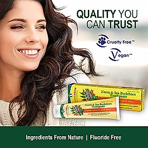 TheraNeem Neem & Sea Buckthorn Toothpaste, Mint | Supports Clean, Healthy Teeth and Gums | No Fluoride, Vegan | 4.23oz
