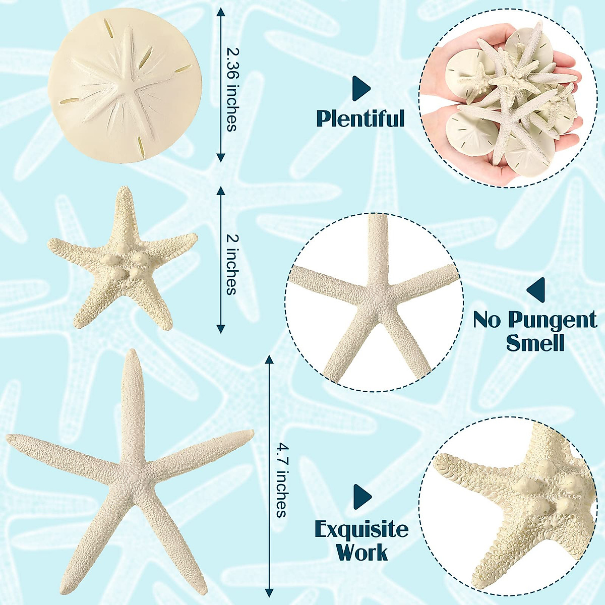 Queekay 15 Pieces Resin Starfish Sand Dollars 2.0 Inch Starfish 4.7 Inch Starfish 2.3 Inch Sand Dollars Crafts Ocean Themed Glittered Coastal Decorations for Christmas Wedding Party Decor Supplies