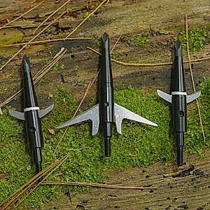 Swhacker SWH00202 125 Grain 2.25" 2 Blade Broadhead 3pk with Practice Tip