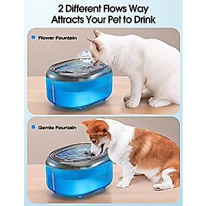WOPET Cat Water Fountain, 67oz/2L Automatic Cat Water Dispenser Pet Water Fountain, W300 Silent Pet Waterfall Drinking Fountain with 1 Replacement Filter for Cats, Dog, Small Pets Without Light, Blue