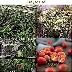 4PCS Grow Tent Net, Flexible Net Trellis Fits 4x4ft and More Size, Stretchy Trellis Netting with Hooks for Garden Balcony Yard Plants Growing and Climbing, Black