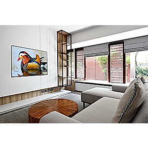 LG OLED83C1PUA C1 83 inch Class 4K Smart OLED TV w/AI ThinQ Bundle w/ 1 Free Additional Year Extended Warranty Authorized Dealer