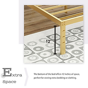 alazyhome Queen Size Bed Frame 14 Inch Metal Platform Bed Frame Heavy Duty Steel Slats Support No Box Spring Needed Noise-Free Easy Assembly Gold