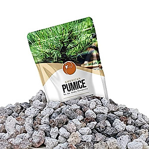 Ho Yoku Pumice for Plants, 2.25 Quarts, Horticultural American Pumice Rocks, Additive for Bonsai Soil, Succulent Soil, or Houseplants