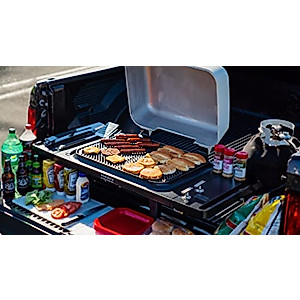 Everdure FORCE 2 Burner Gas Grill, Liquid Propane Portable BBQ Grill with Die-Cast Aluminum Body and Fast-Ignition Technology, 388 Square Inches of Grilling Surface, Adjustable Height, Graphite