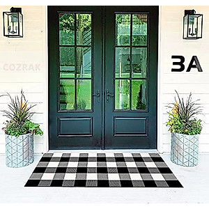 COZRAKON Buffalo Check Indoor Outdoor Rug Cotton Buffalo Plaid Rug for Front Porch,Kitchen,Living Room,Bedroom,Decorative mats 2' x 4.3', Black and White Plaid