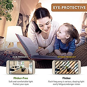 E26 LED Bulb,25W LED Corn Light Bulb 200W Equivalent 6500K Cool Daylight White 2500LM Non-dimmable Flicker Free Ceiling Fan LED Corn Bulb for Indoor Outdoor Home Garage Pack of 3