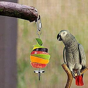PhantomSky 4PCS Bird Treat Skewer Food Holder, Bird Hanging Stainless Steel Parrot Fruit Vegetable Food Feeder Holder Cage Parakeets Budgie Foraging Toy Include 2 Fruit Fork 1 Food Basket 1 Water Bowl