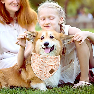 JarThenaAMCS 2Pcs Fall Reversible Dog Bandana Pumpkin Polka Dot Autumn Leaves Gingham Triangle Pet Scarf Orange Adjustable Pet Neckerchief Dog Bibs for Dog Cat Costume Accessories