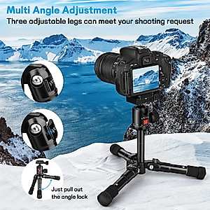 Tabletop Tripod, 20 inch Portable Desktop Mini Tripod for Camera with 360 Degree Ball Head, Aluminum Small Travel Tripod, Compatible with DSLR Camera/Video Camcorder/Cell Phone/Spotting Scope (Black)