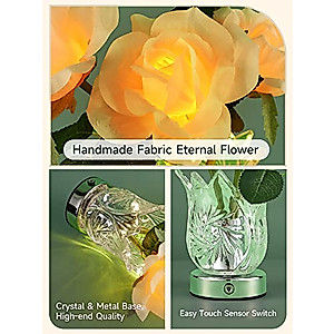 One Fire Flower Lamp Touch Lamp, Dimmable Table Lamp Rose Lamp, Rechargeable Cordless Lamp, Artificial Flower Lamp with Glass Vase, Small Lamp for Bedroom Bedroom Living Room, Birthday Gifts for Her