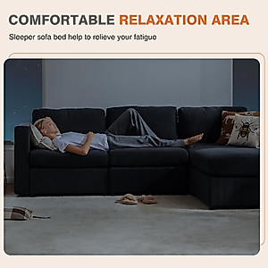 Sweetcrispy SF-1-M01-0227 Sectional Couches for Living Room, 4-Seat Sofa, Dark Grey