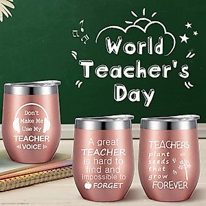 Geiserailie 10 Pcs Teacher Appreciation Gift Teacher Wine Tumbler in Bulk for Women Thank You Wine Cup with Straws Lids and Brushes Valentines Day Gift for Teacher Thank You Gift (Rose Gold, 12oz)