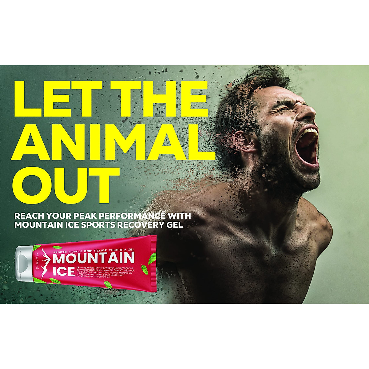 Mountain Ice Muscle Pain Relief Gel for Back & Neck Pain, Sprains, Soreness, Reduce Inflammation Fast, Made with Natural Ingredients,Made in The USA (1)