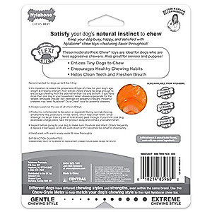 Nylabone Moderate Chew FlexiChew Bone Bones Peanut Butter & Bacon XX-Small/Tiny (2 Count)