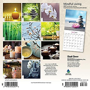 Mindful Living 2021 Calendar: Brush Dance