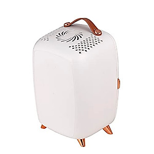 Splendora 6L Makeup & Skincare Fridge w/Light Up Mirror Free Ice Roller (6 Liter's Because 4L Mini Fridge Is Way Too Small!)