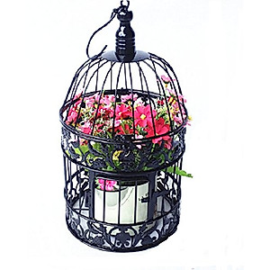 PET SHOW Round Birdcages Wedding Gift Cards Holder Metal Wall Hanging Bird Cage for Small Birds Party Indoor Ourdoor Decoration 10.6“ Black Pack of 1