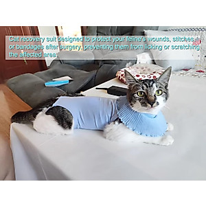 Cute Cat Surgical Recovery Suit Female Male Onesie for Cat After Surgery, Pet Cat Alternative Bandages Cones & Collars (Blue, S)