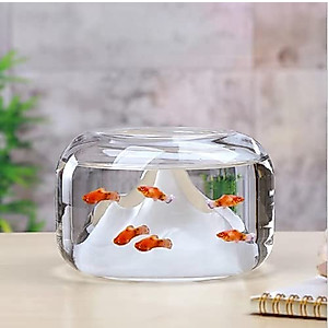 Glass Fishbowl Small Snow Mountain Goldfish Aquarium 5.9" Mini Fish Tank,Cool Design