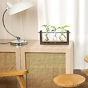 Yangbaga Plant Propagation Stations Terrarium Glass Planter with Wooden Stand 3 Bulb Vases for Hydroponics Indoor Office Desk Home Decor, Plant Holder Gifts