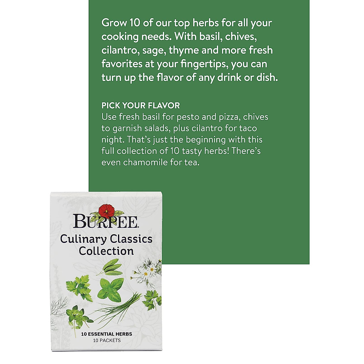 Burpee Culinary Classics Garden Collection 10 Packets of Non-GMO Chives, Cilantro, Basil, Sage, Thyme, Dill, Parsley, Chamomile, Marjoram & Oregano | Kitchen Herb Variety Pack, Seeds for Planting